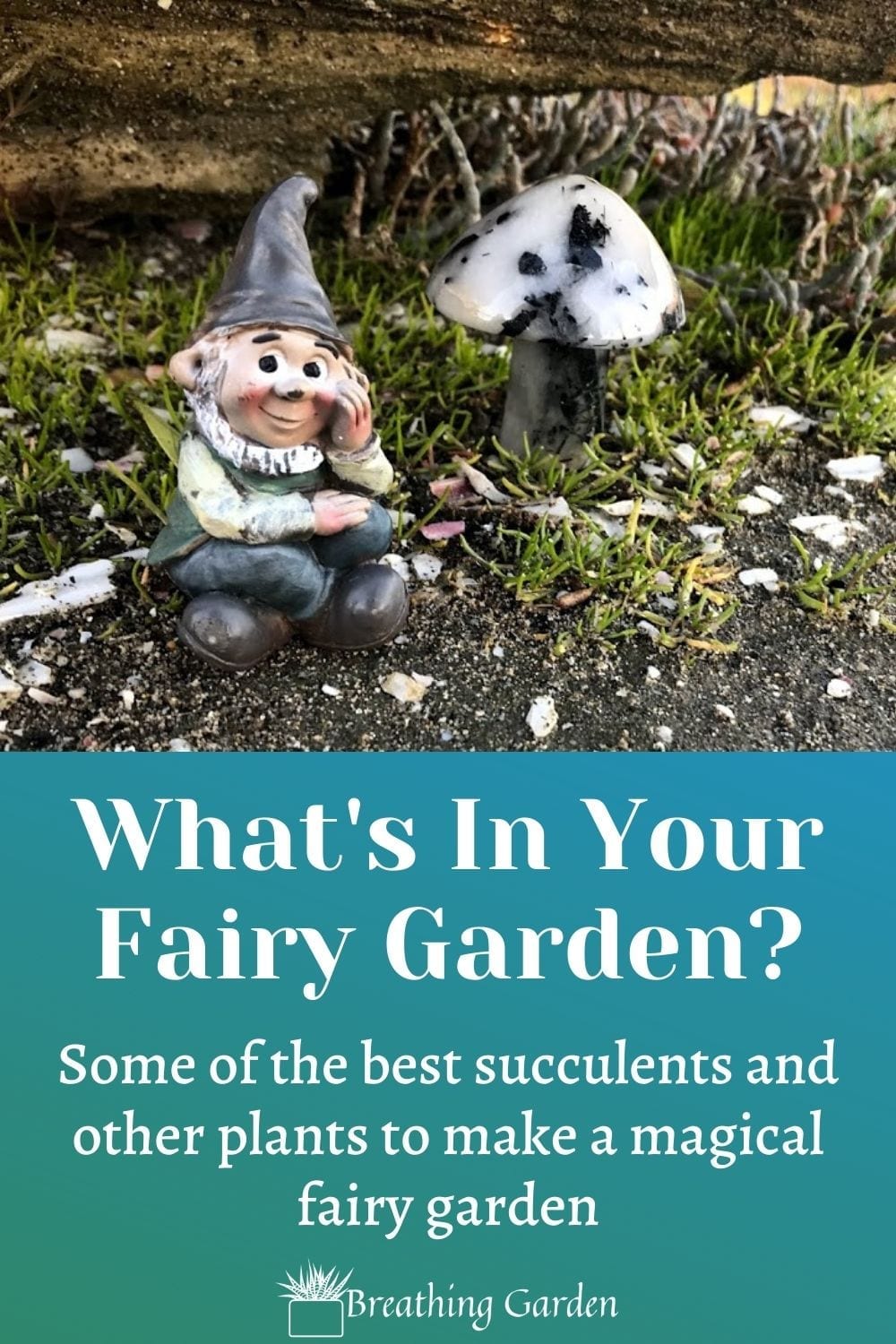 Here Are 12 Cute Fairy Garden Plants to Create a Magical Miniature ...