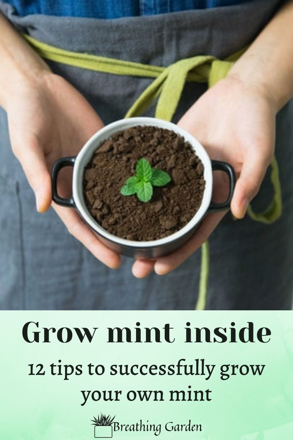 Growing Mint Indoors: Here Are 12 Tricks To Have A Healthy Plant ...